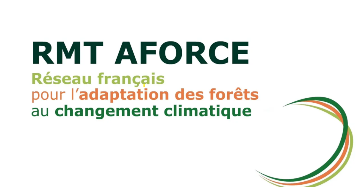 Vidéo de présentation du réseau AFORCE